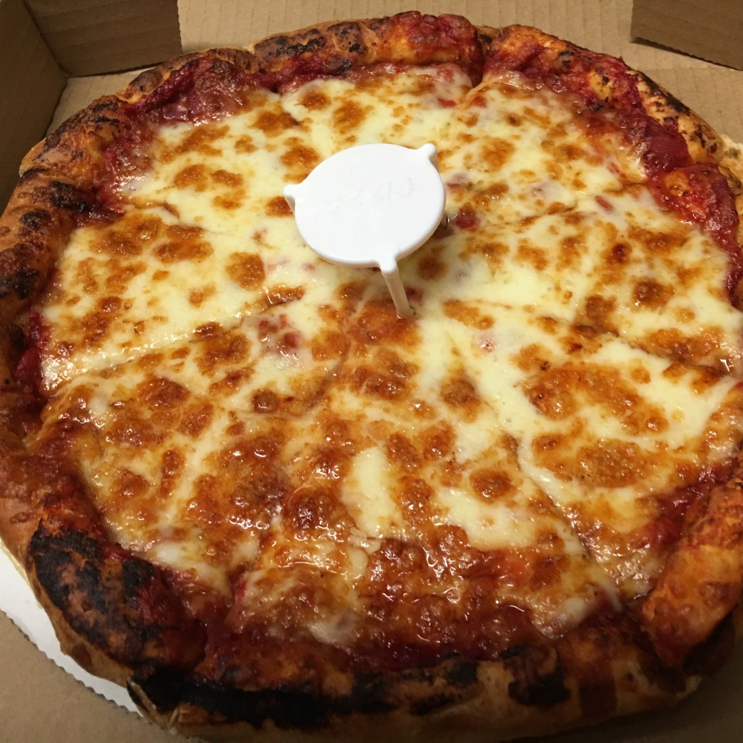 extra cheese pizza